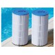 Pack de 2 cartouches CW 100 - Piscines Waterair